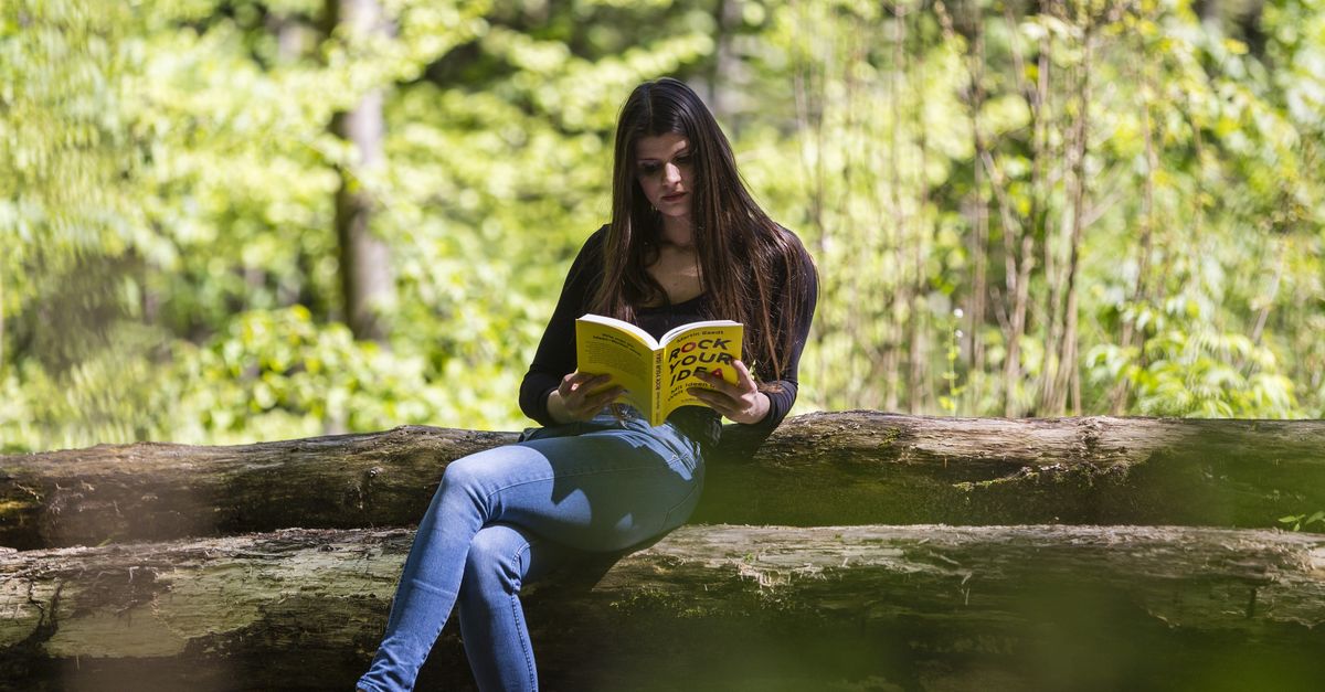 Senior Software-Entwickler:in Java 80-100%